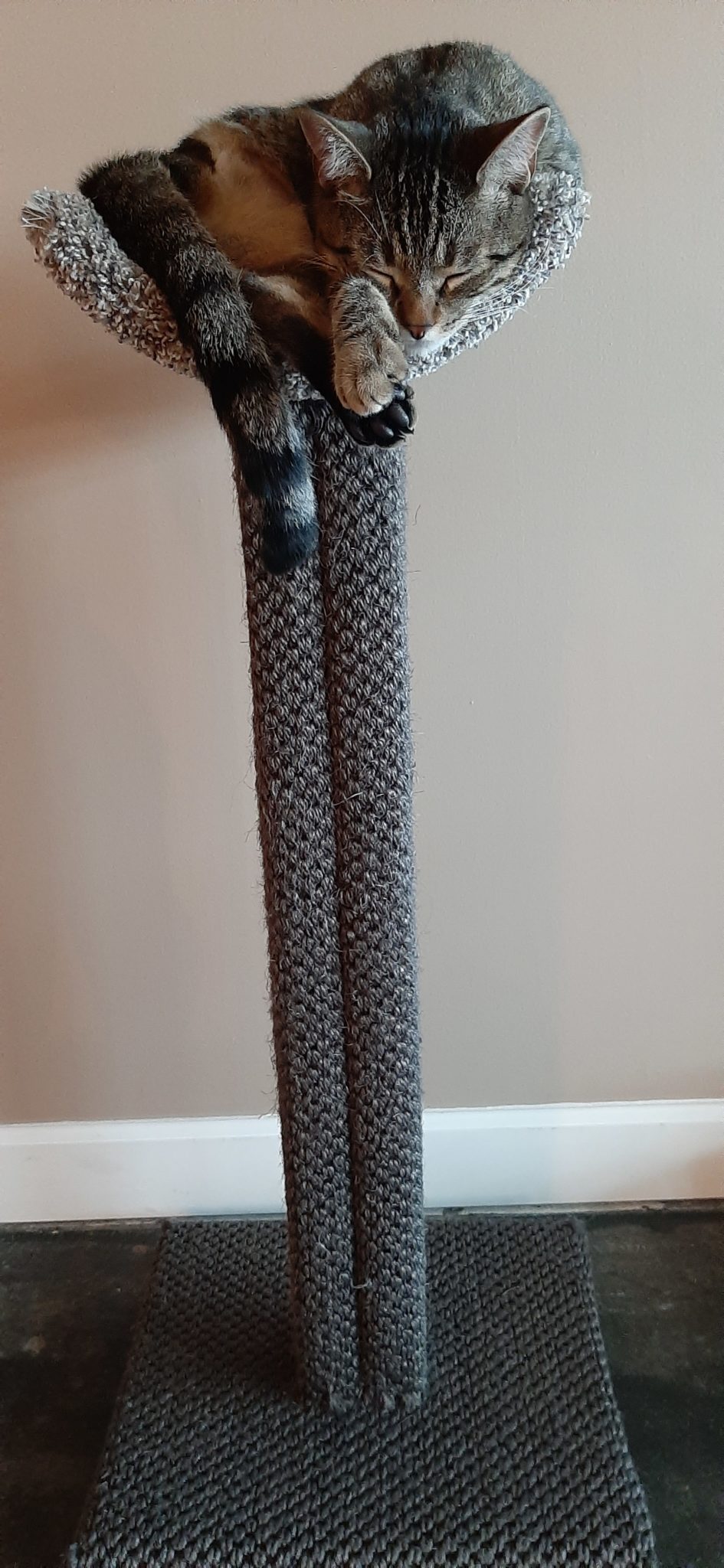 Scratching Post with Scooped Bed - Fundamentally Feline