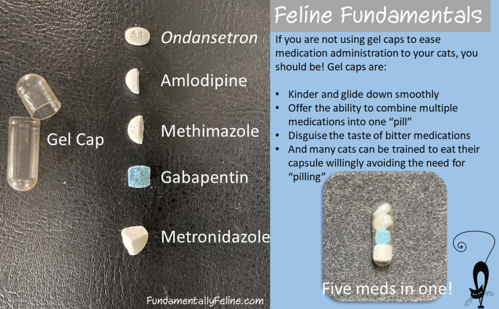 Using capsules to ease medication administration - Fundamentally Feline