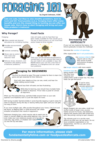 Foraging Infographic - Fundamentally Feline