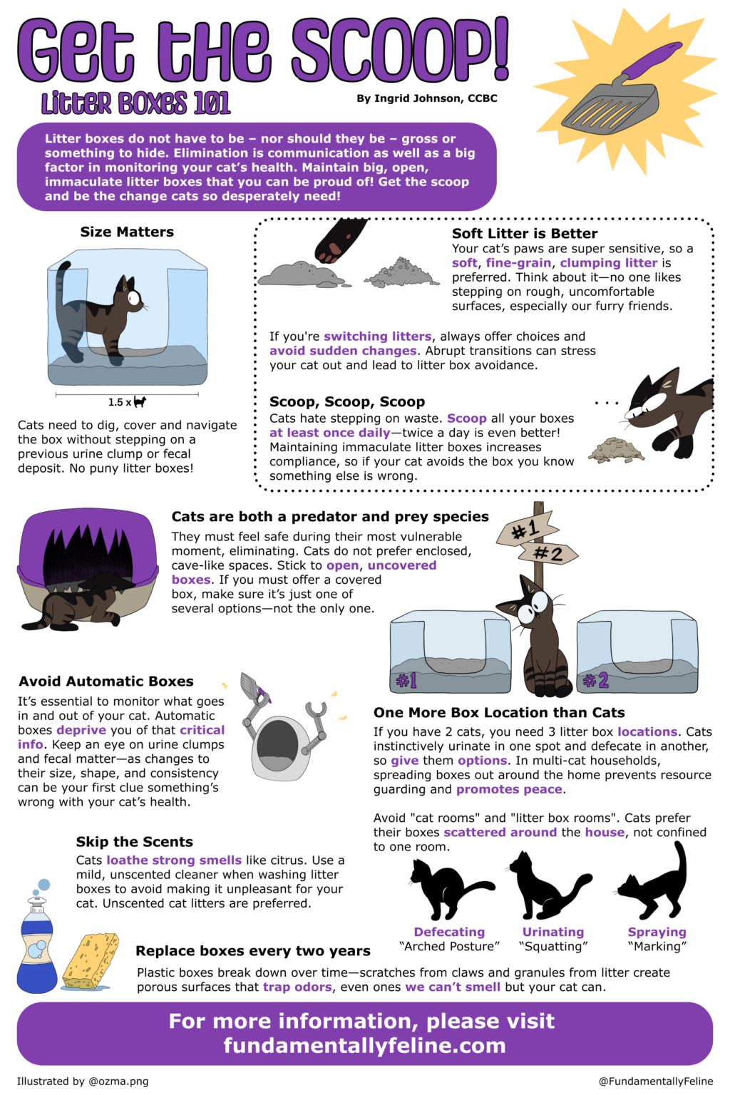 Get the Scoop! Litter Boxes 101-Infographic - Fundamentally Feline