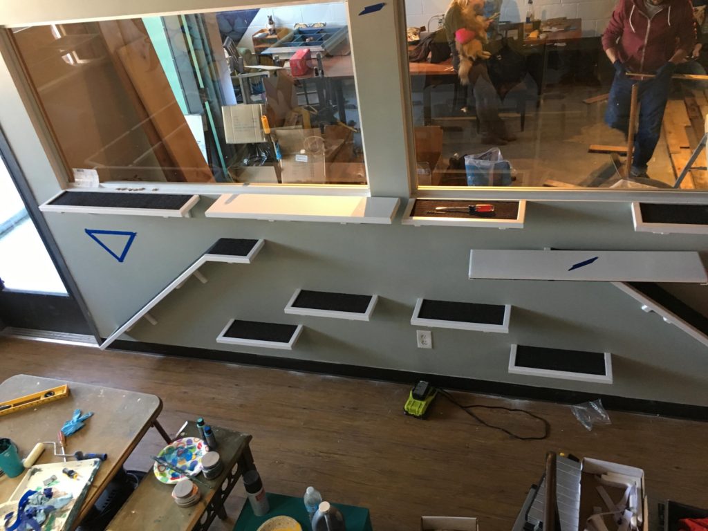 Java Cats-Atlanta's first cat cafe! - Fundamentally Feline