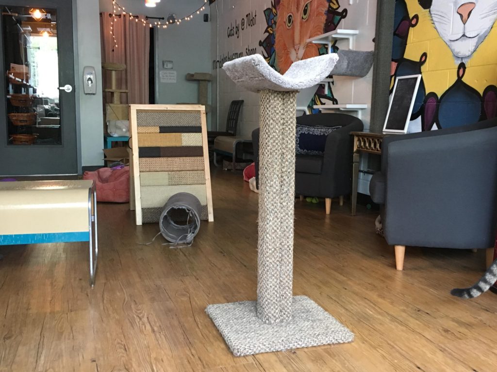 Scratch Easel - Fundamentally Feline