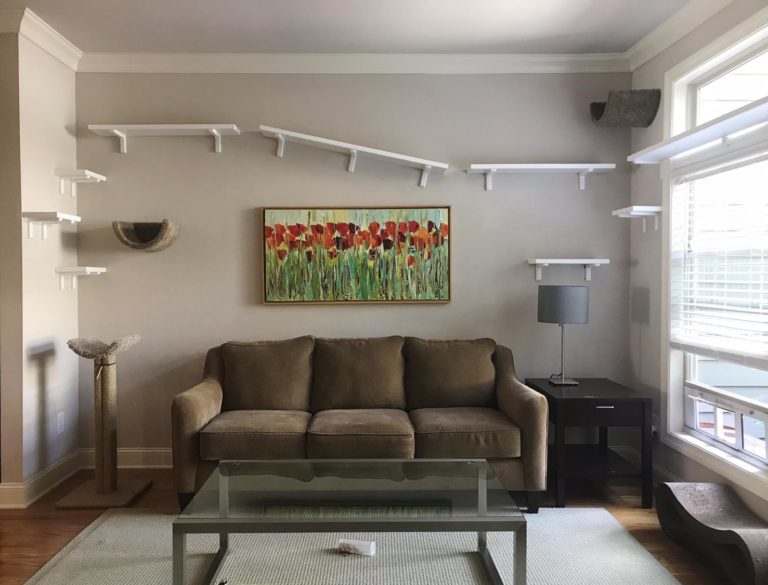 Vertical Space - Fundamentally Feline