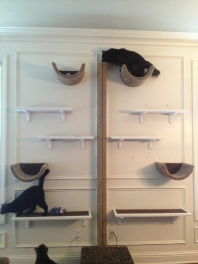 Vertical Space - Fundamentally Feline