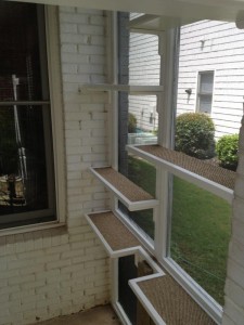 Catifying Your Screen Porch - Fundamentally Feline