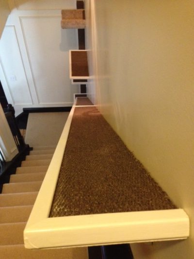 A Catified Stairwell - Fundamentally Feline