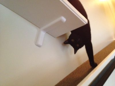 A Catified Stairwell - Fundamentally Feline