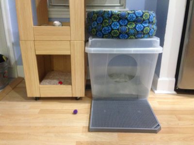 Litter boxes: get the scoop! What kind, how many and where ...