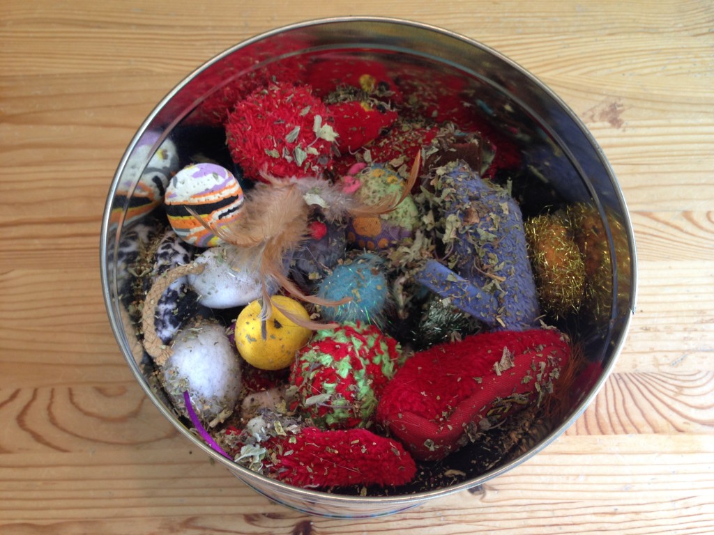 Environmental Enrichment For Indoor Cats - Fundamentally Feline