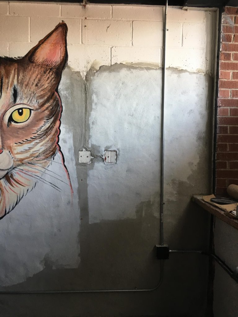 Java Cats-Atlanta's first cat cafe! - Fundamentally Feline