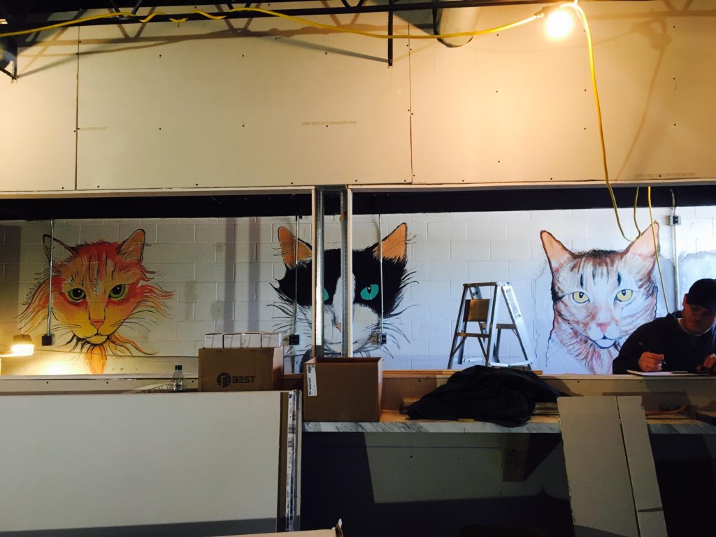 Java Cats-Atlanta's first cat cafe! - Fundamentally Feline