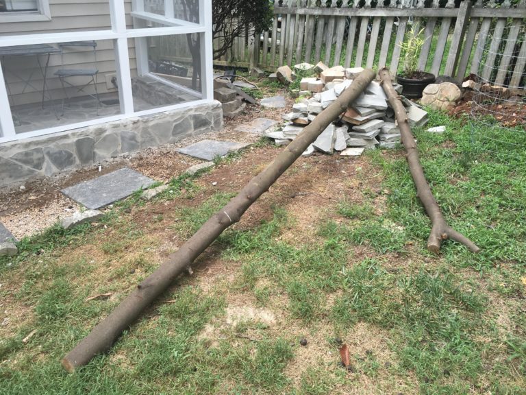 Catios: Options to Consider When Building a Catio - Fundamentally Feline