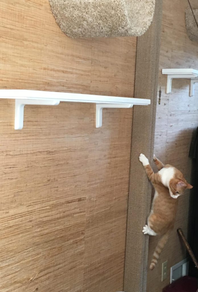 Wall Mounted Sisal Scratch Pole 6' - Fundamentally Feline