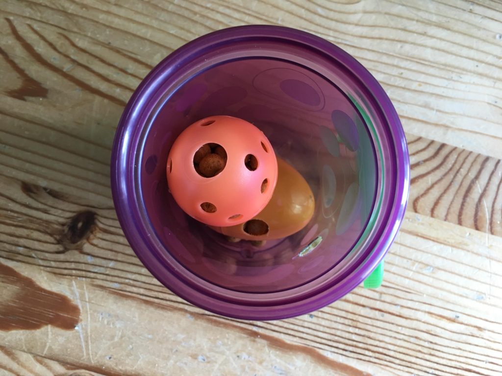 Foraging Cups - Fundamentally Feline