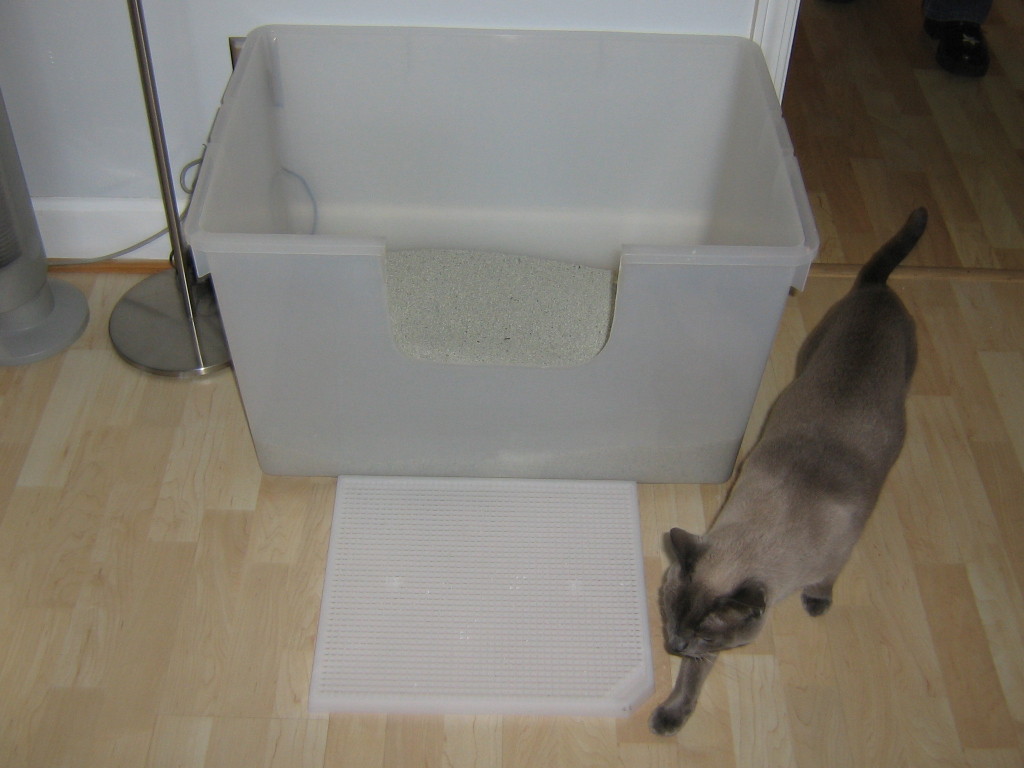 Litter boxes: get the scoop! What kind, how many and where ...