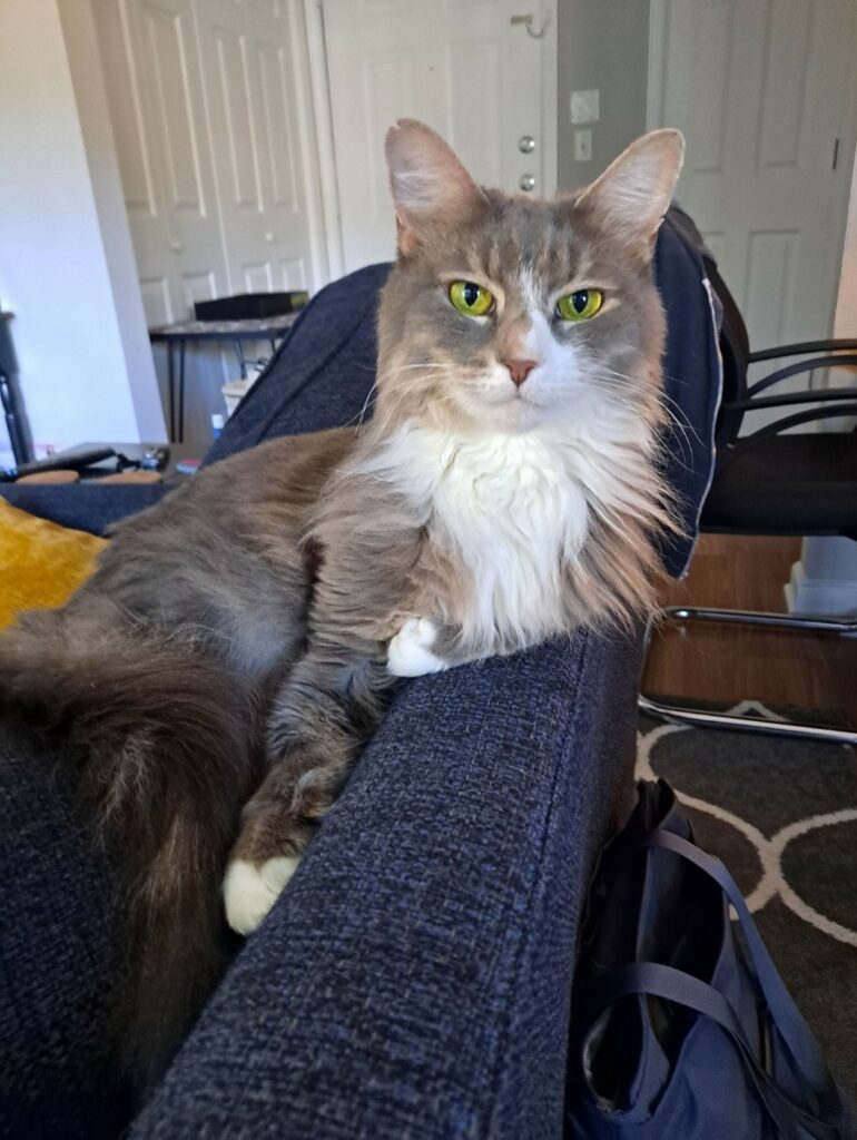 Poop on the chest (yup-that's right, you read this correctly ...