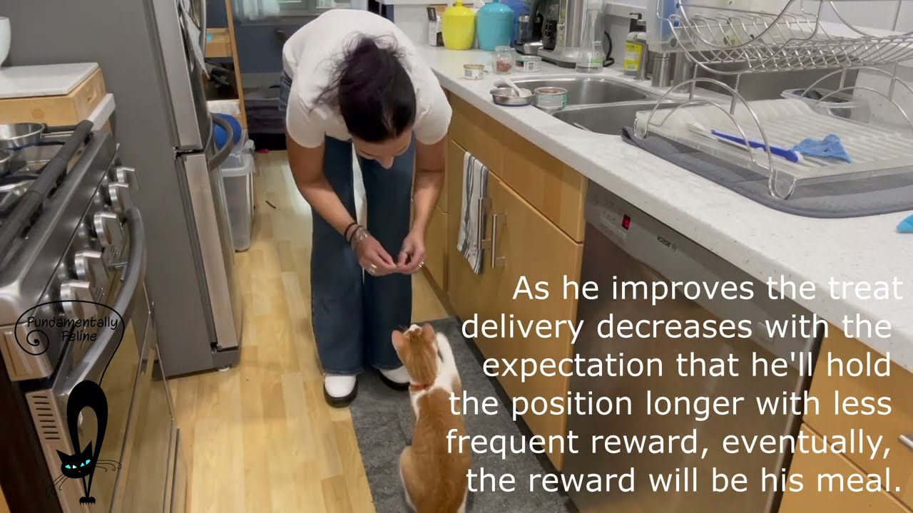 Target Training as a Solution to Counter Surfing Behavior ...