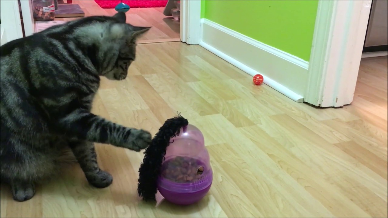 The Kong Wobbler for cats - Fundamentally Feline