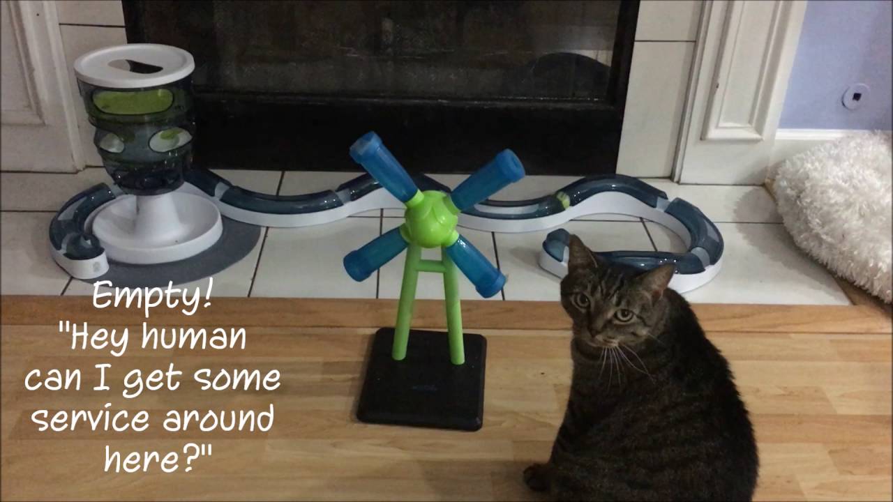 The Windmill by Trixie Pet - Fundamentally Feline